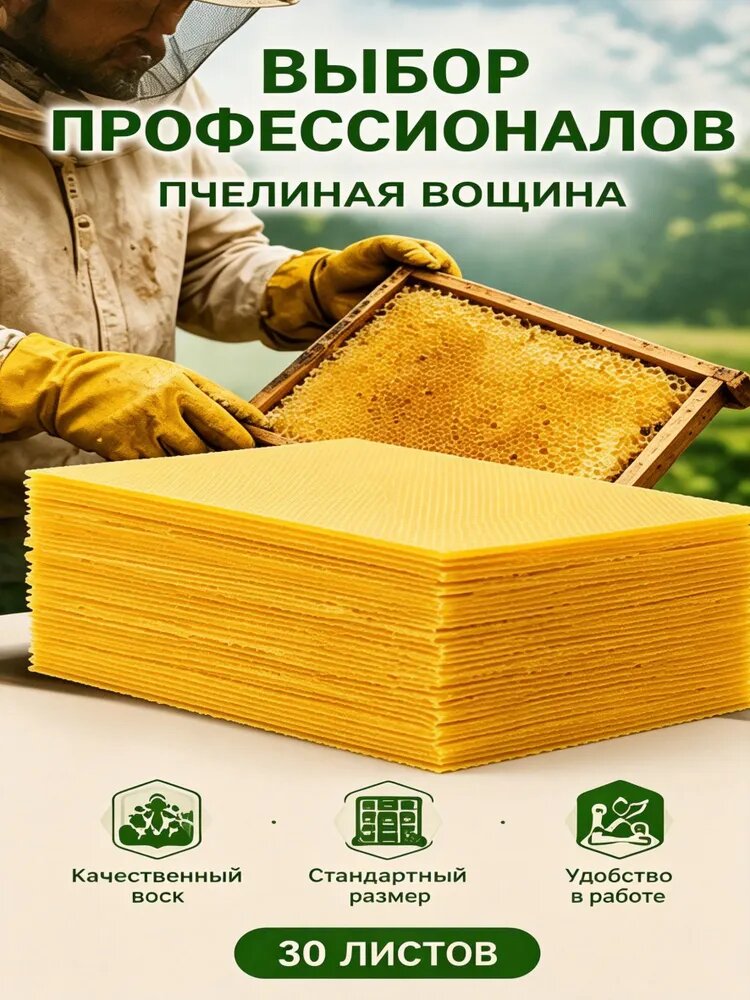 Вощина натуральная из пчелиного воска Дадан 30 листов, основа для пчел и свечей
