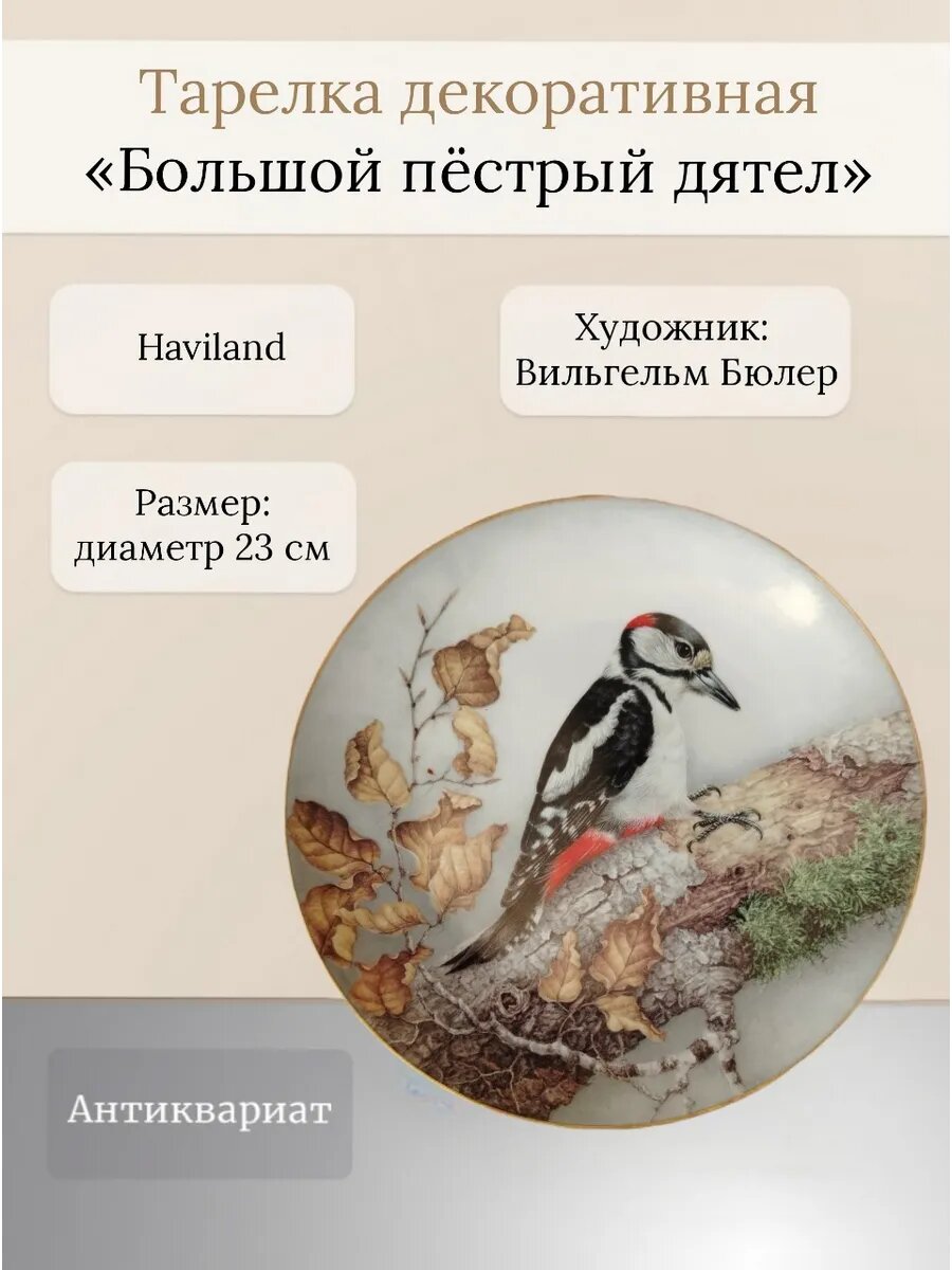 Декоративная тарелка "Большой пёстрый дятел" Haviland