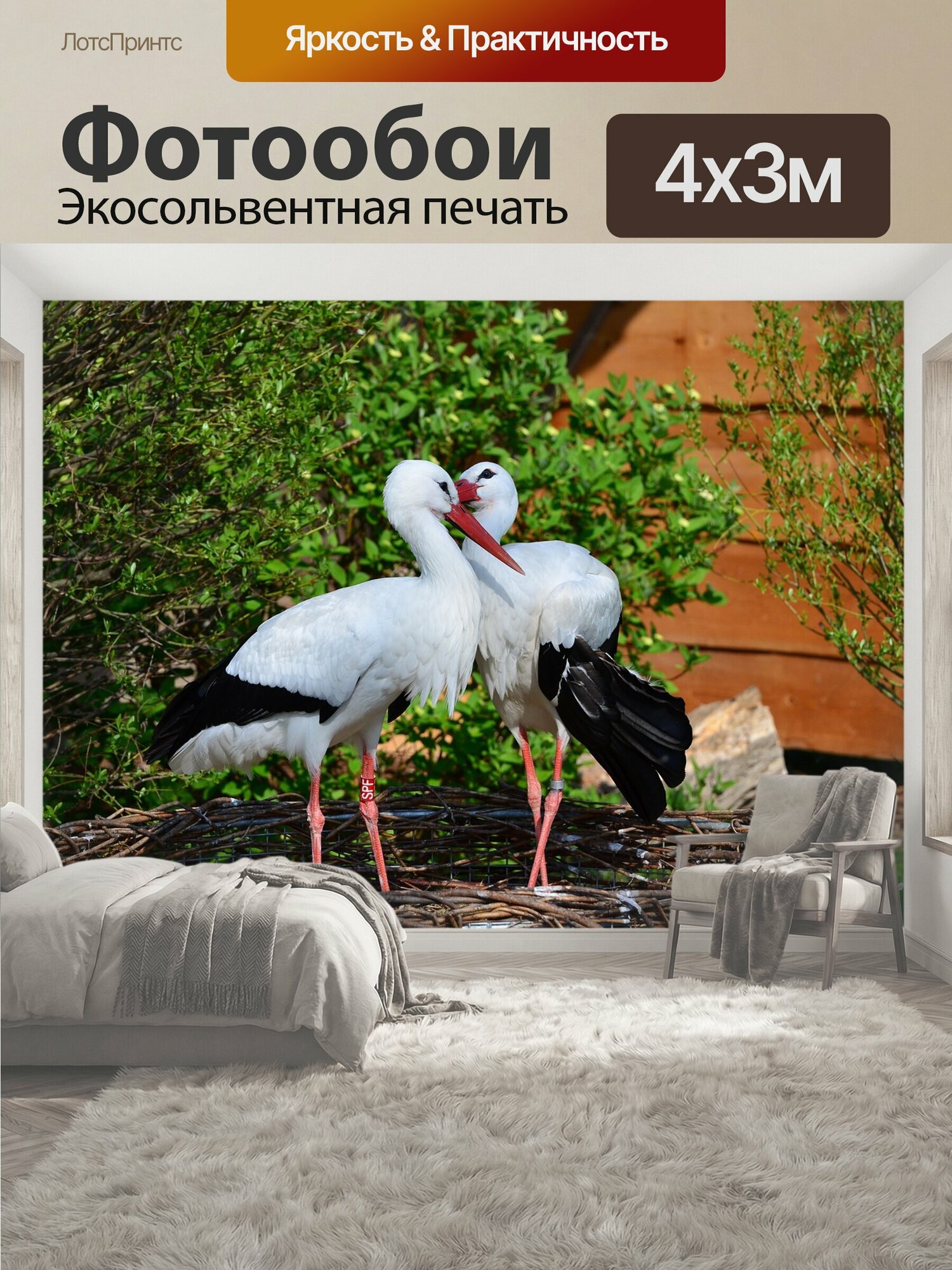 Фотообои "Животные, птицы, аист" 400x300 см. экосольвентная печать