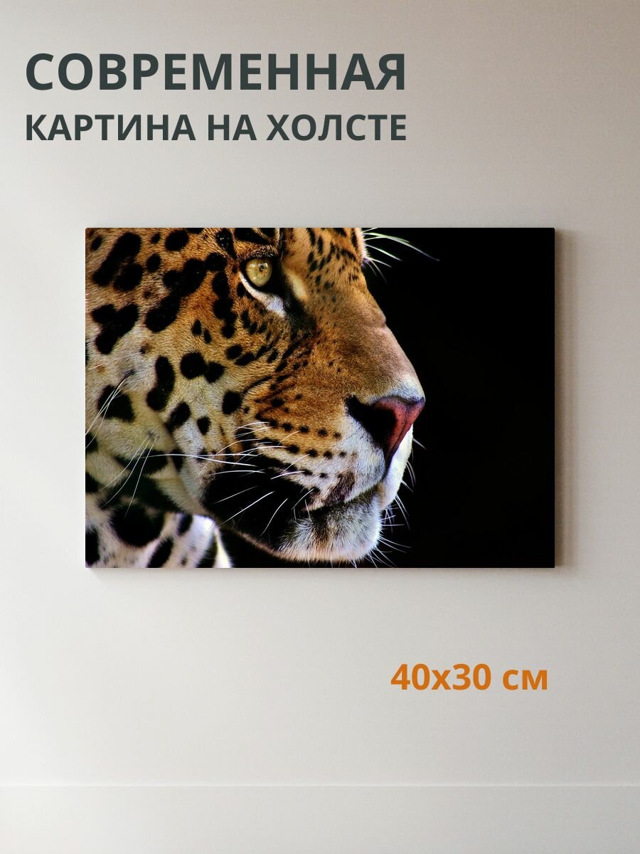 Картина на холсте Леопард/дикий зверь 40x30 см