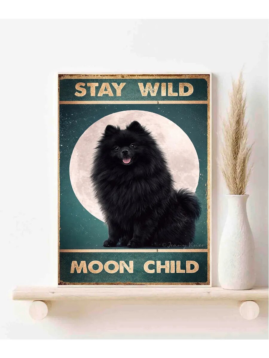 Чёрный шпиц, Stay Wild Moon Child, Плакат 30x42см
