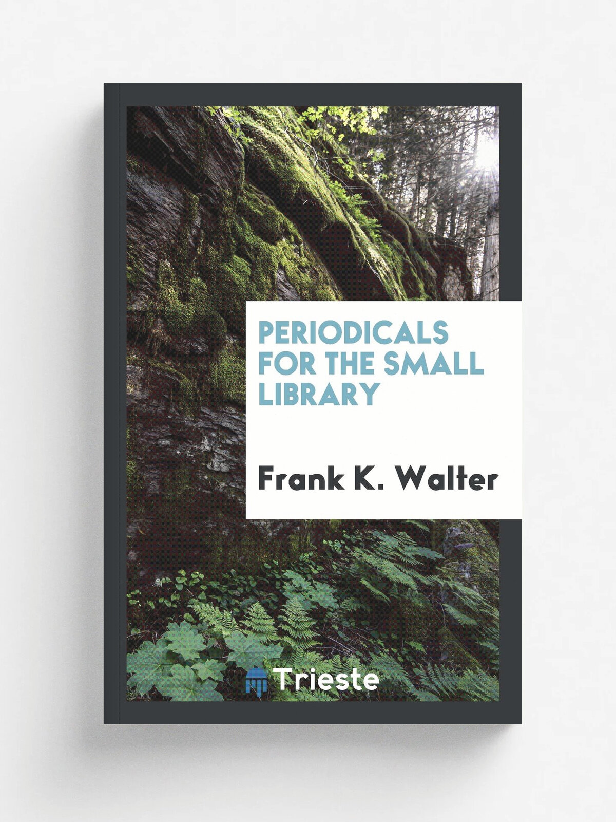 Periodicals for the Small Library