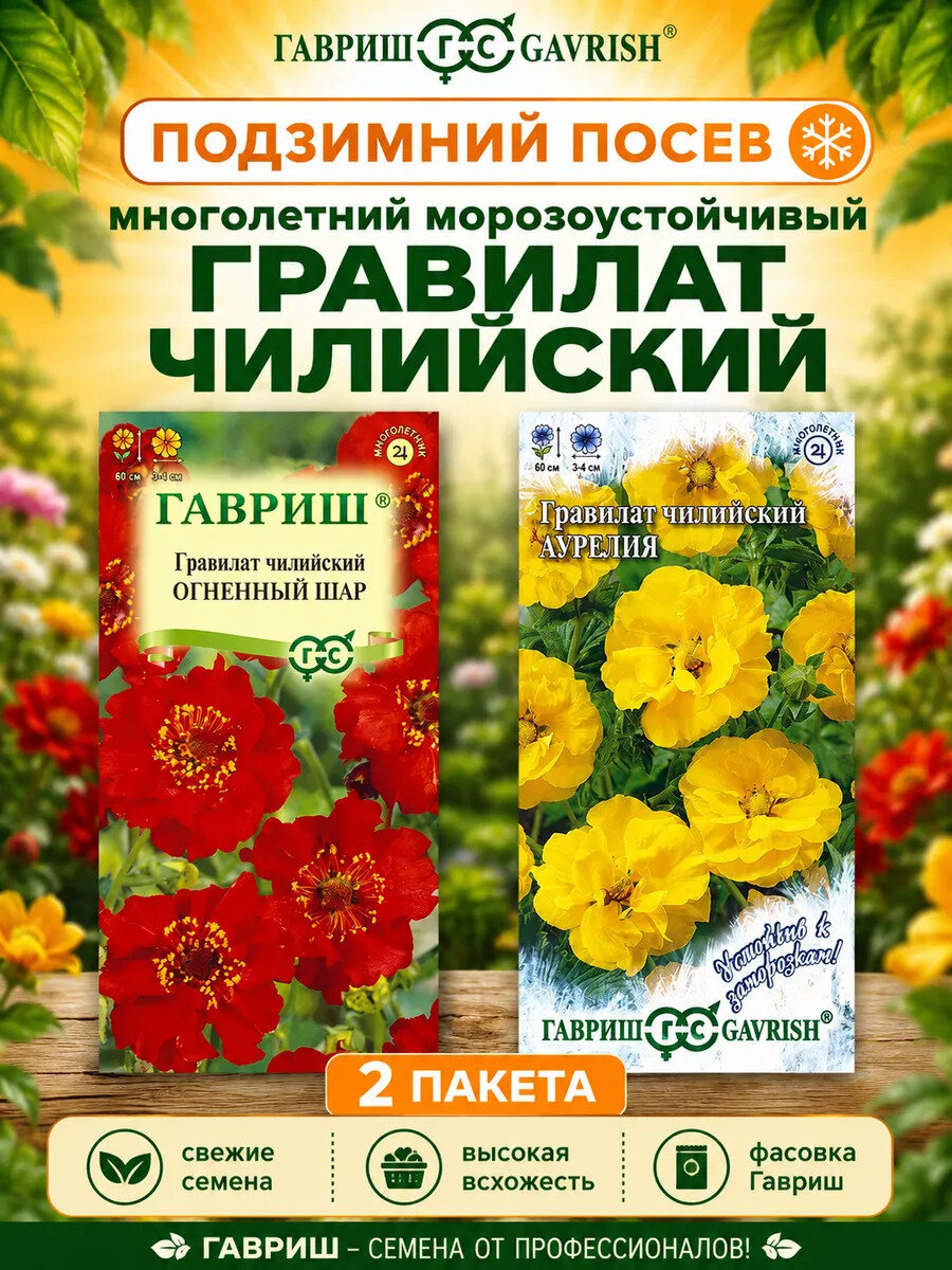 Гравилат Чилийский семена 2 пакета