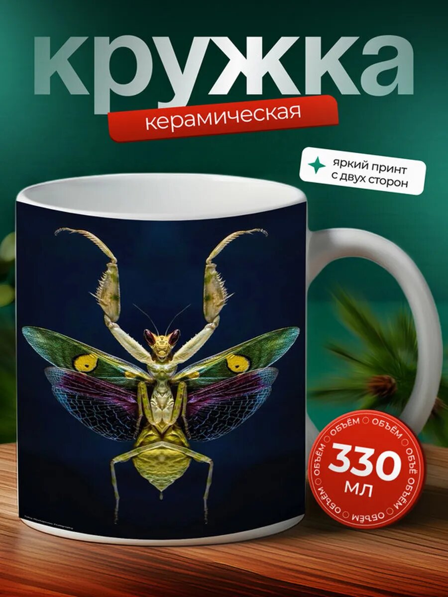 Кружка Богомол насекомое 6,