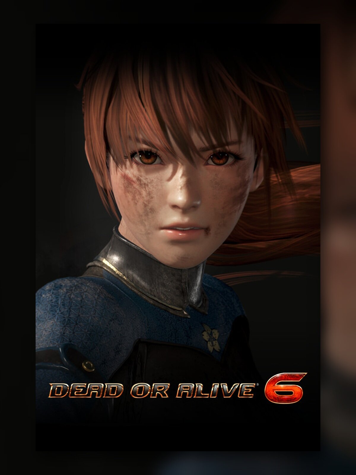 Игра DEAD OR ALIVE 6 Steam Gift |PC/ПК| регион CIS | Подарок Стим