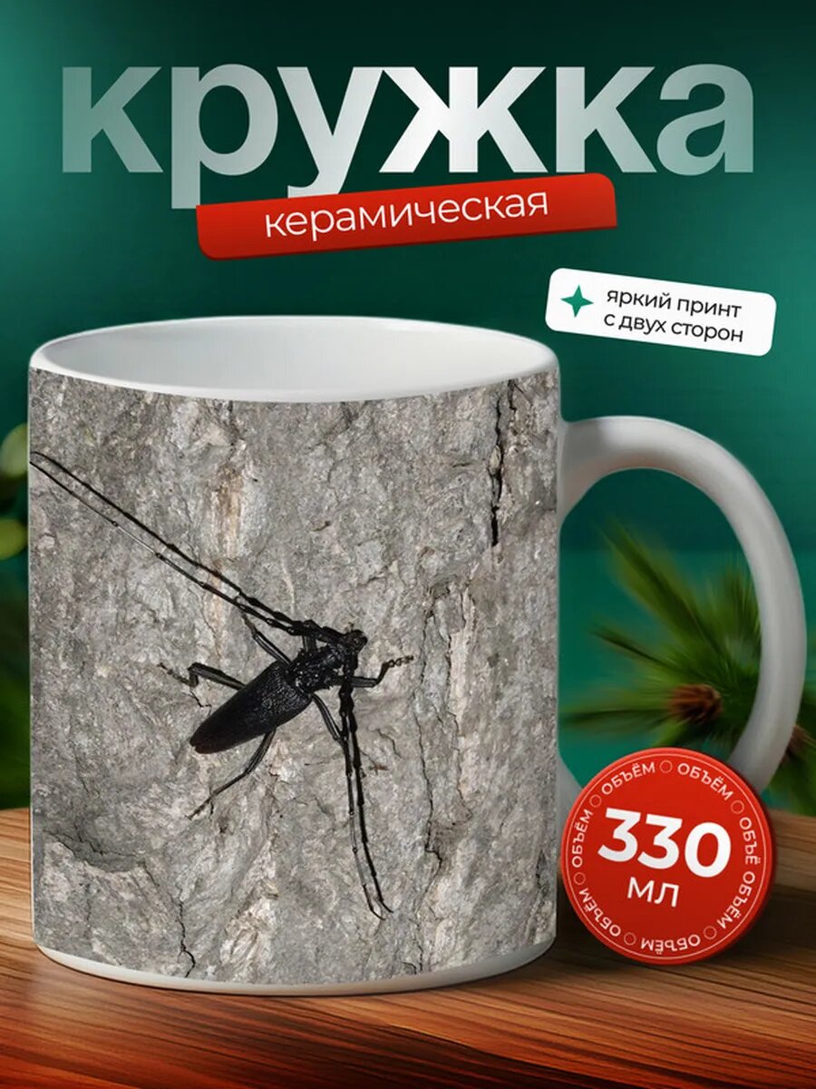 Кружка Майский жук насекомое 15,