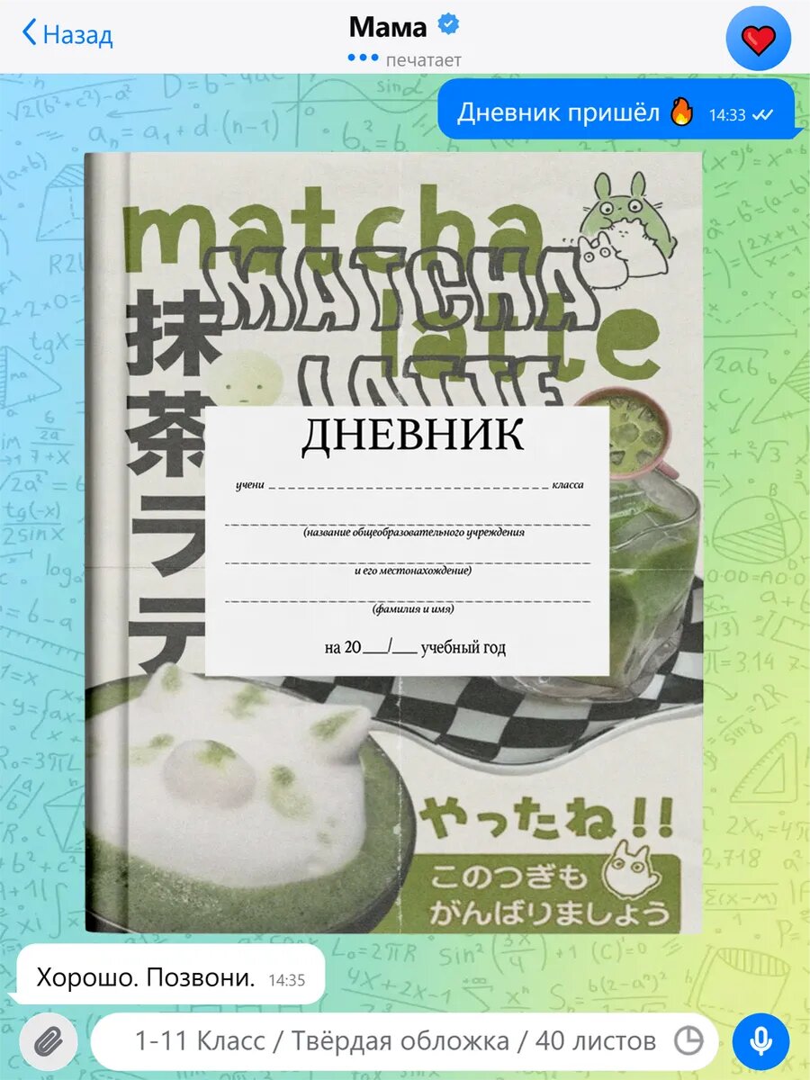 Школьный дневник с принтом Роблокс