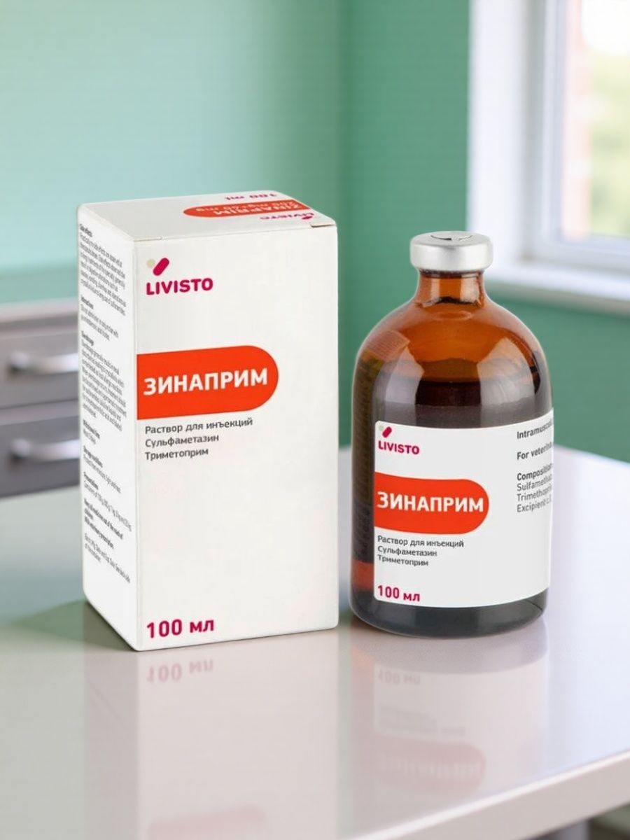 Зинаприм, 100мл (раствор для жкт)