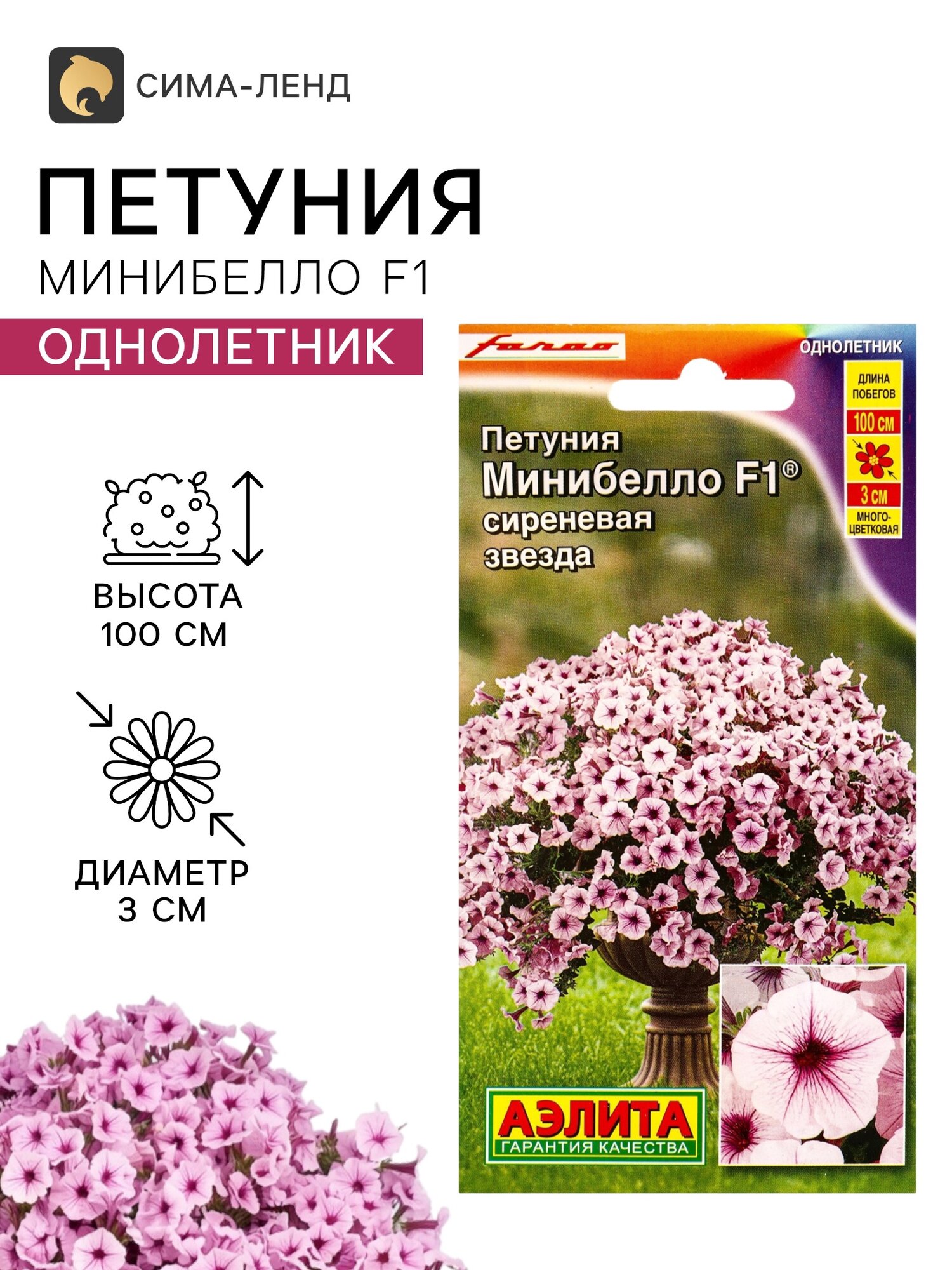 Семена цветов Петуния Минибелло F1. 6 упаковок