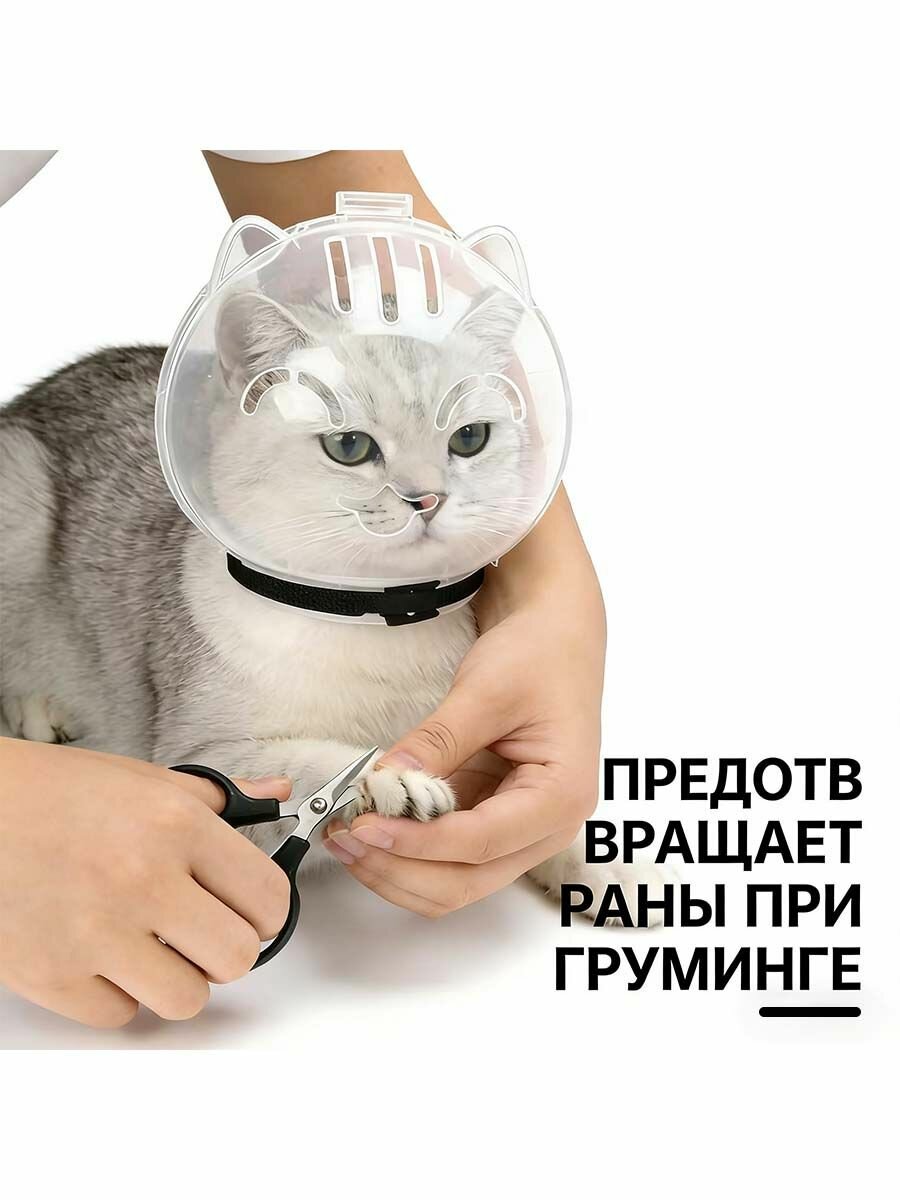 Намордник для кошек. Головной убор для кошек, защита от царапин и укусов домашних животных, капюшон для кошек