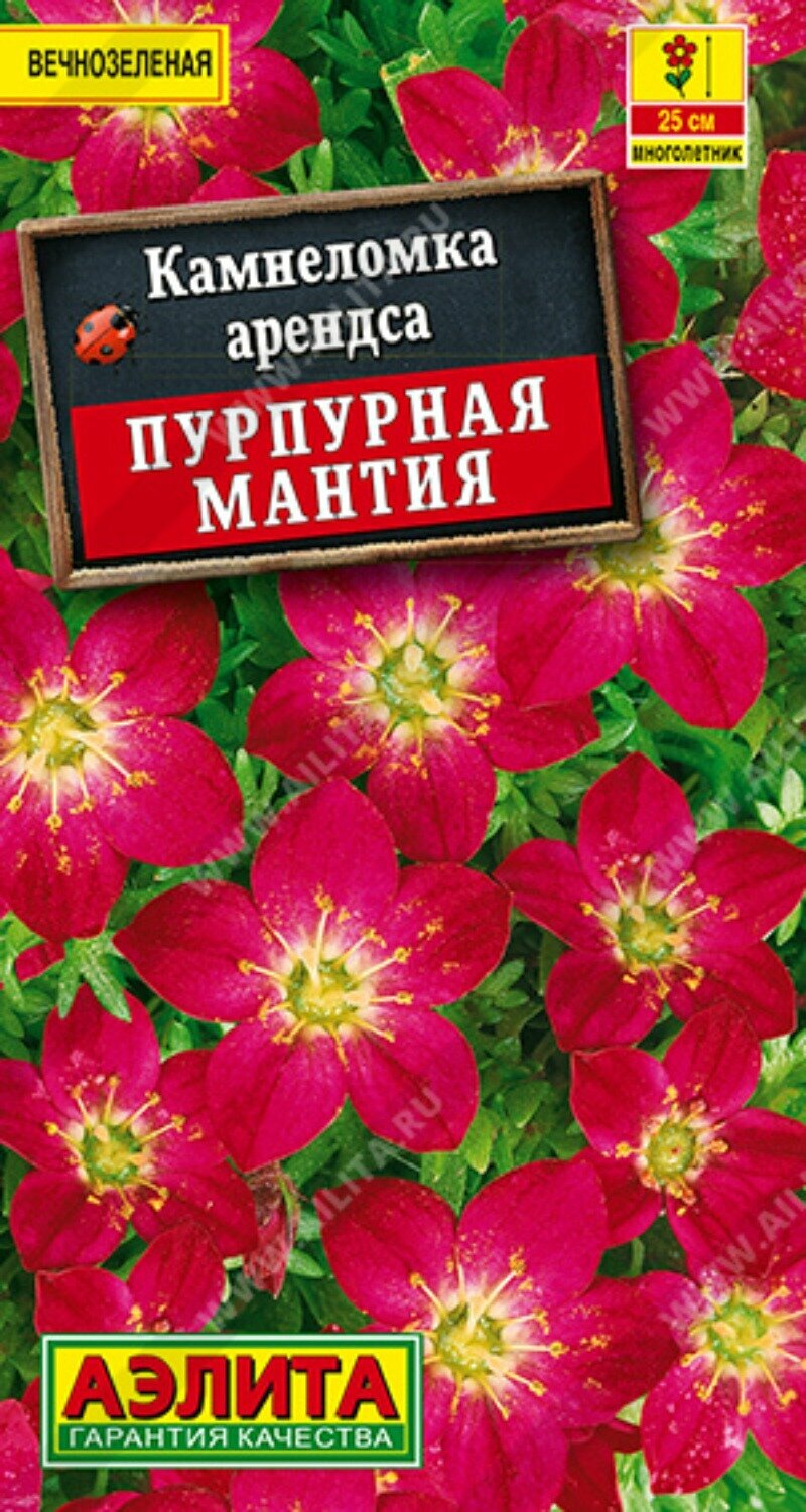Семена Камнеломка Пурпурная мантия (0,01 г), Агрофирма Аэлита
