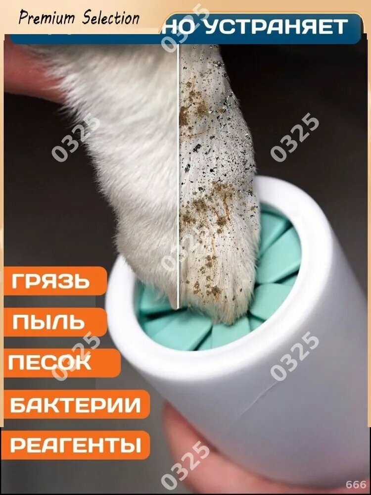 Лапомойка — фото 1