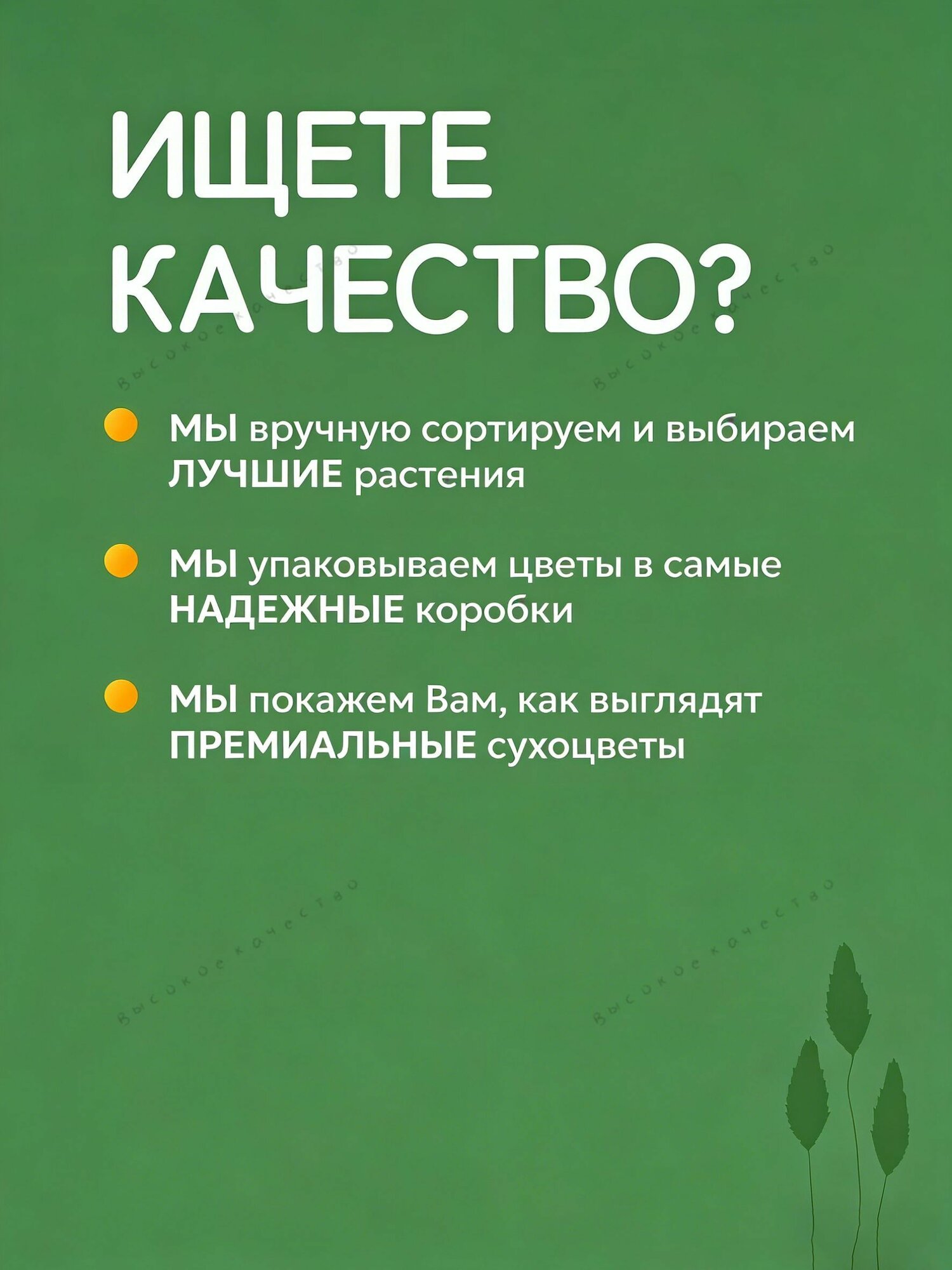 Сухоцветы Эвкалипт