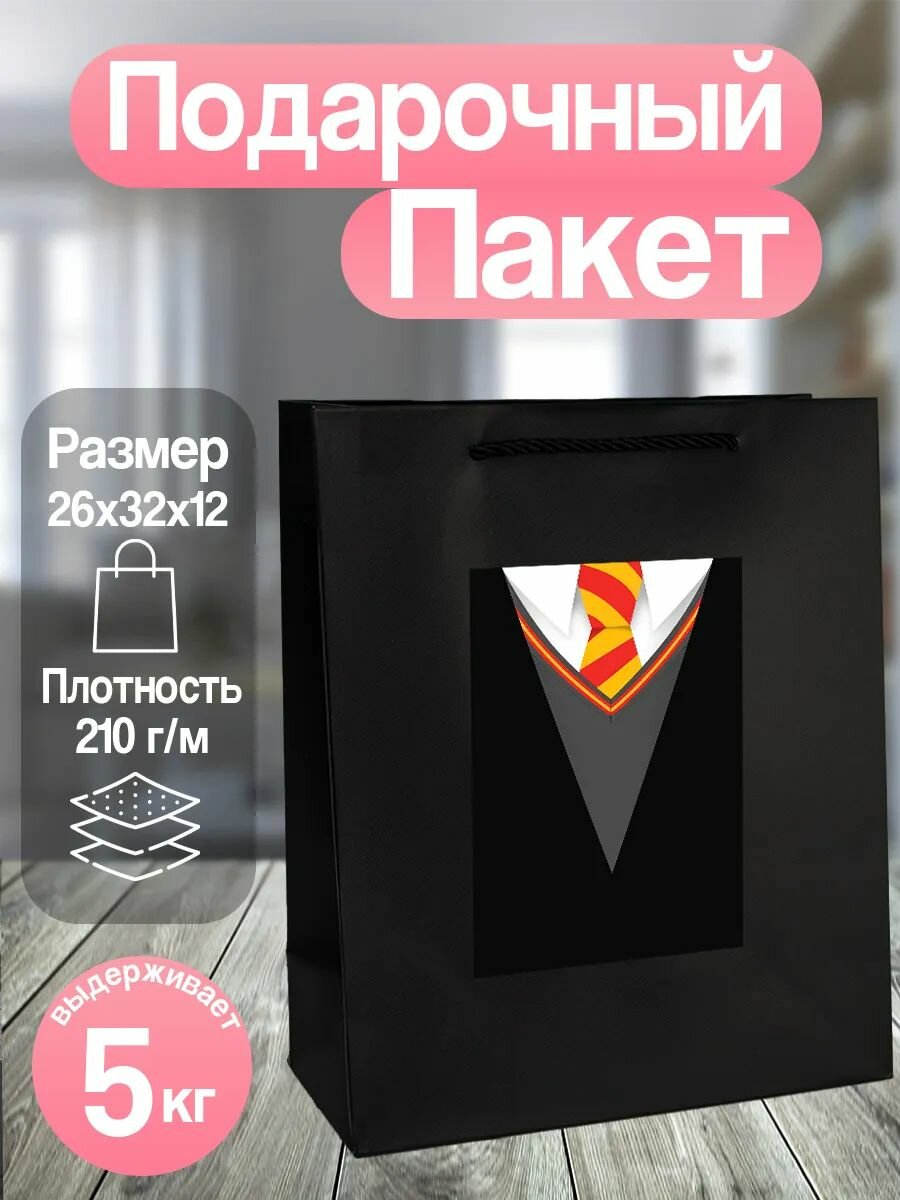 Пакет подарочный Гарри Потер