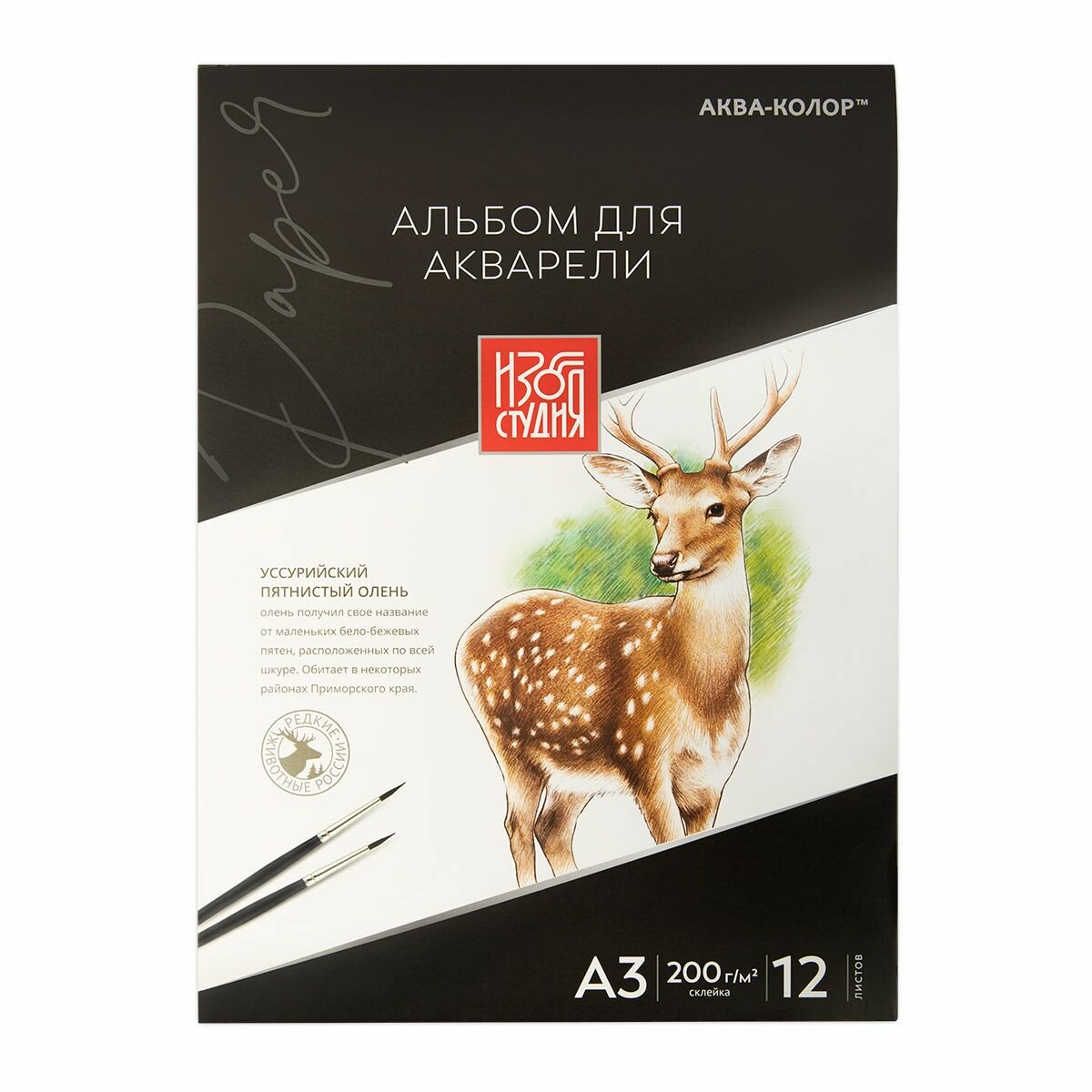 Альбом для рисования Аква-Колор Изостудия, A3, акварельная бумага, 200г/м², 12л