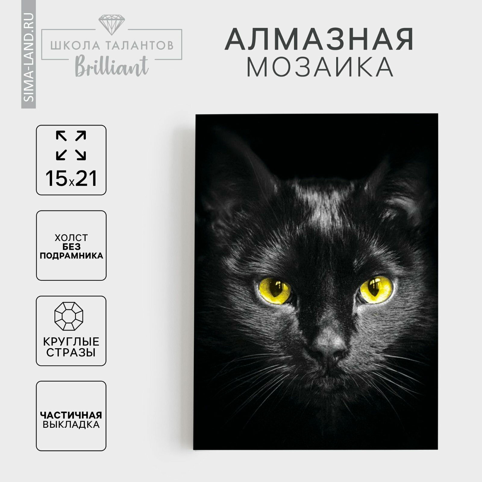 Алмазная мозаика с частичным заполнением на холсте "Чёрный кот", 15x21 см