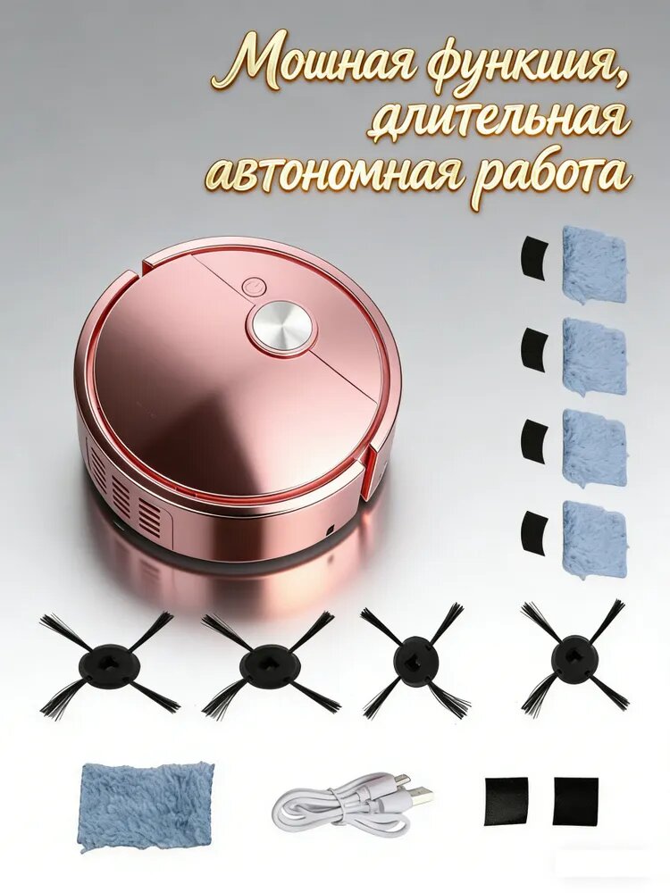 Робот-подметальщик