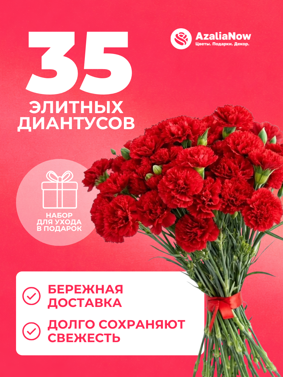 Букет из 35 красных гвоздик под ленту, Диантус, Голландия от АзалияНау