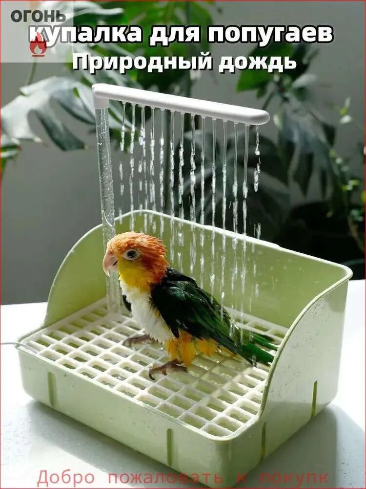 Купалка для попугаев с автоматической циркуляцией воды, большая ванночка для птиц, для корелл, неразлучников, майн и волнистых