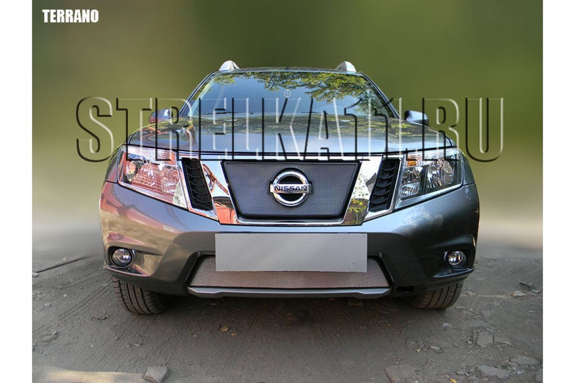 Защитная сетка радиатора с окантовкой и защелками для Nissan Terrano 2014-2020 (III), 2шт, хром
