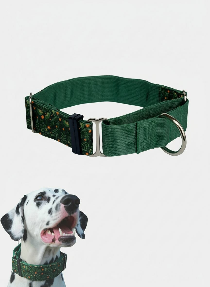 Ошейник мартингейл (полуудавка) широкий Rafa Petshop