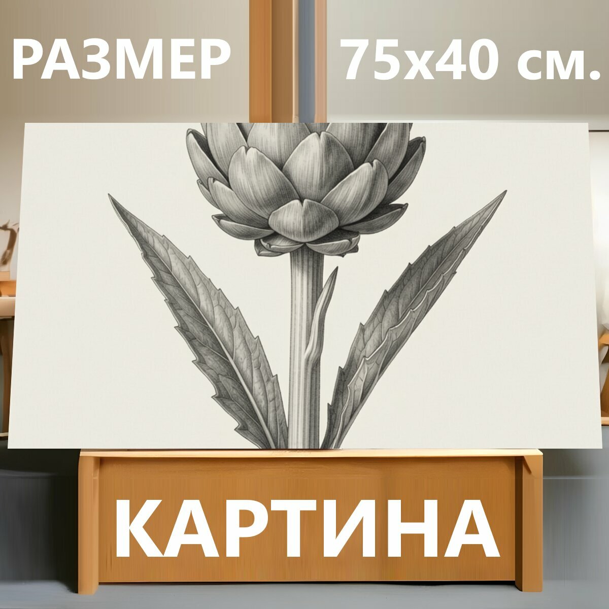 Картина на холсте "Артишок в ботанической графике. Изящная ботаническая иллюстрация с крупным соцветием и вытянутыми зубчатыми листьями." на подрамнике 75х40 см. для интерьера