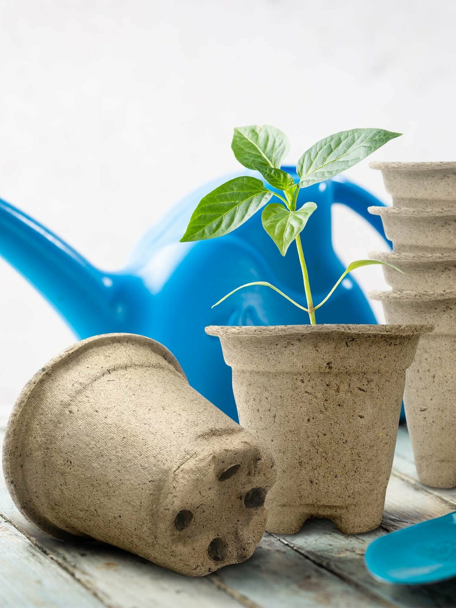 Горшки торфяные ГазонCity 80 мм, улучшенное дно, для рассады, 20 шт