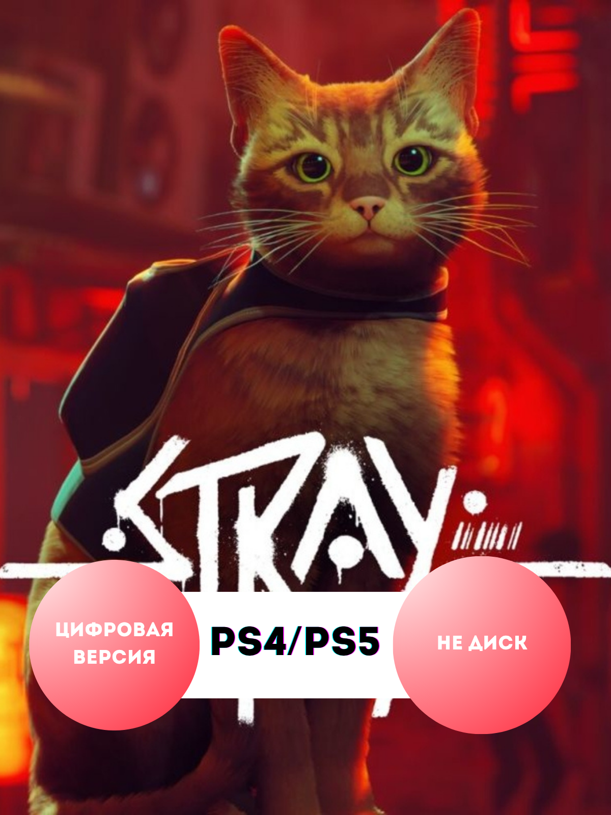 Stray PS4 & PS5