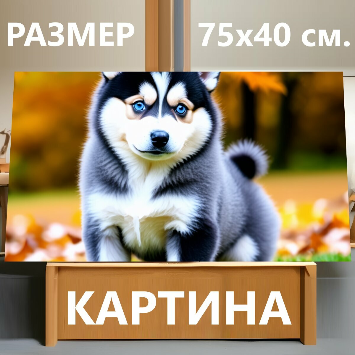 Картина на холсте "Щенок породы помски, окрас черно-белый с серым, уши стоячие, глаза голубые, хвост пушистый, стоит на зеленой траве с." на подрамнике 75х40 см. для интерьера