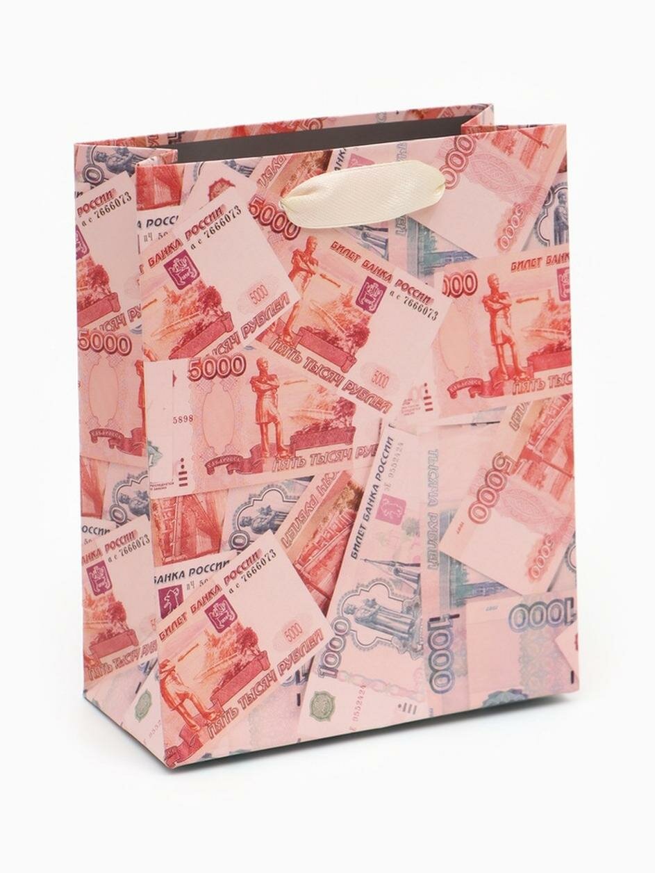 Пакет подарочный Дарите Счастье "Деньги", S 12 × 15 × 5,5 см, 10894024