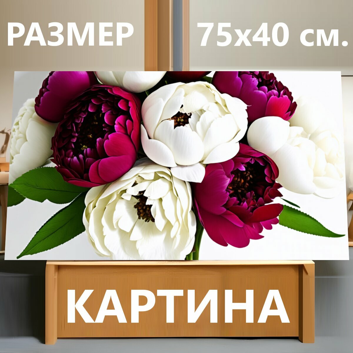 Картина на холсте "Букет пионов в белом и бордовом цветах, крупные, яркие цветы, с большими нежными лепестками, на белом фоне." на подрамнике 75х40 см. для интерьера