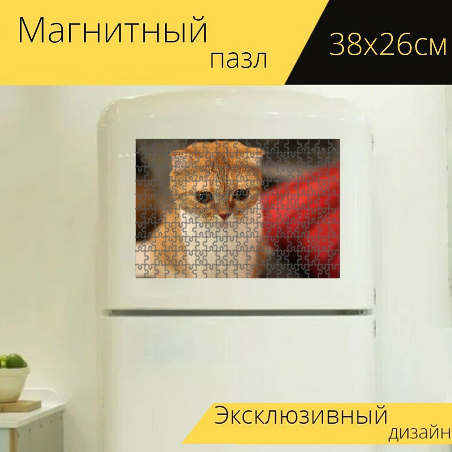 Магнитный пазл "Кошка, шотландская вислоухая, шотландский" для интерьера, 38х26 см.