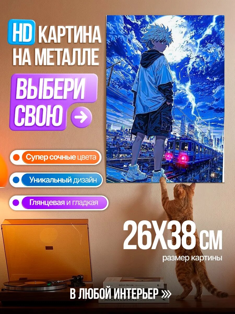 Картина на HD металле Киллуа Золдик гроза