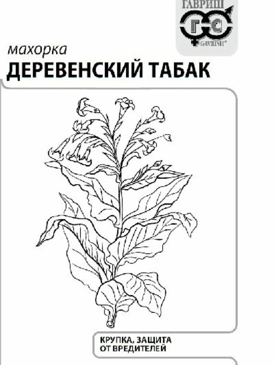 Махорка Деревенский табак 0,01 г ЦП Семена Гавриш
