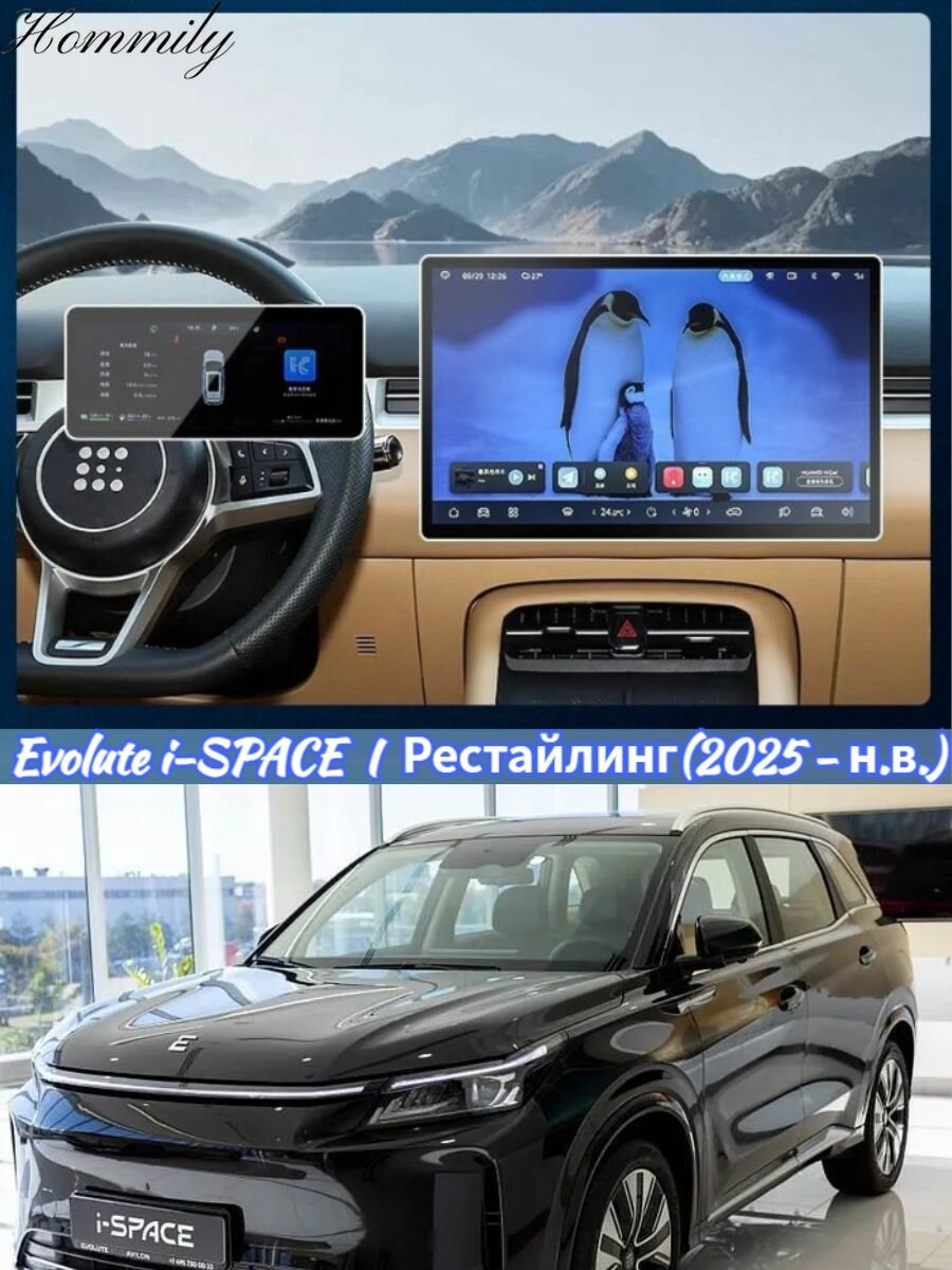 Evolute i-SPACE Пленка автомобильная
