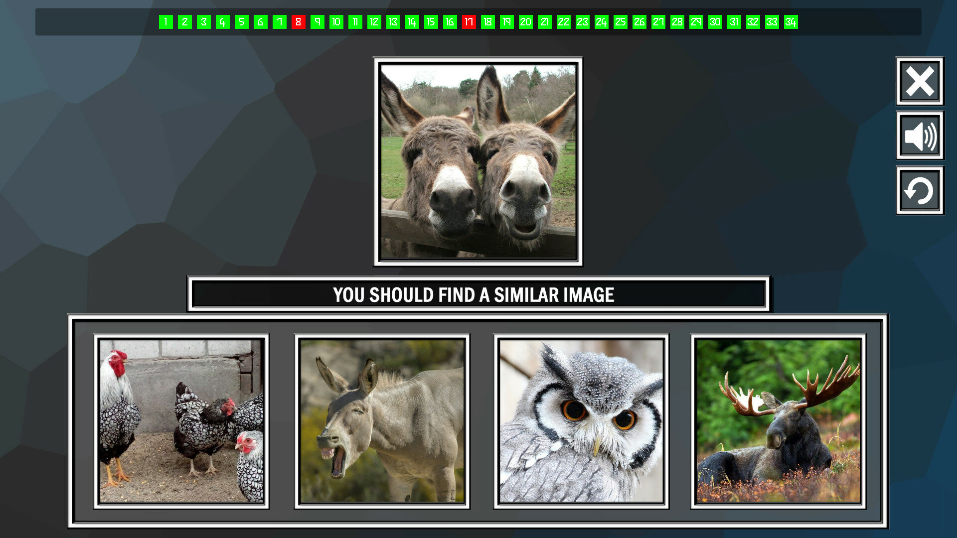 Repeat the image: Animals Steam Ключ • Активация Steam • регион Весь мир