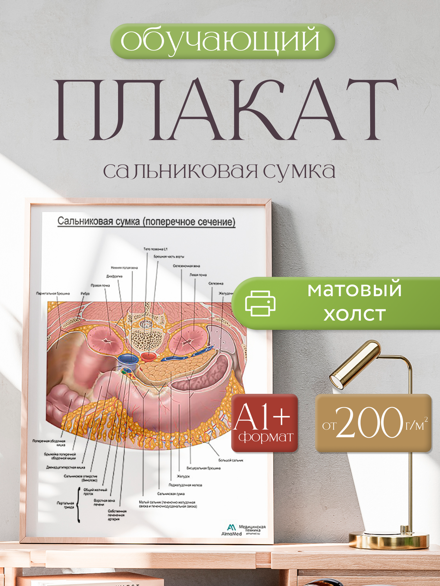 Обучающий плакат "Сальниковая сумка. Поперечное сечение", размер А1+, матовый холст от 200г/м2