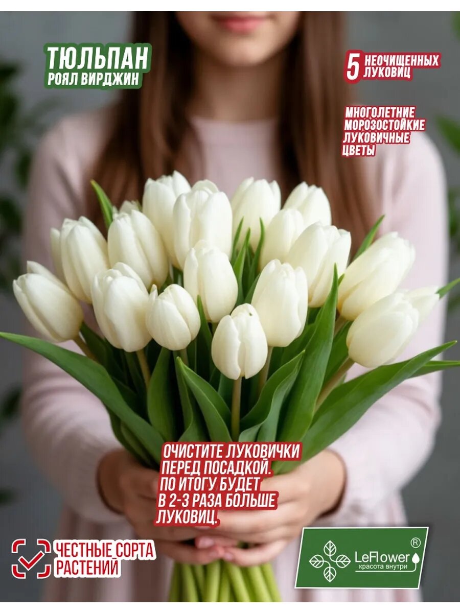 Тюльпан Луковица, Роял Вирджин, 5шт