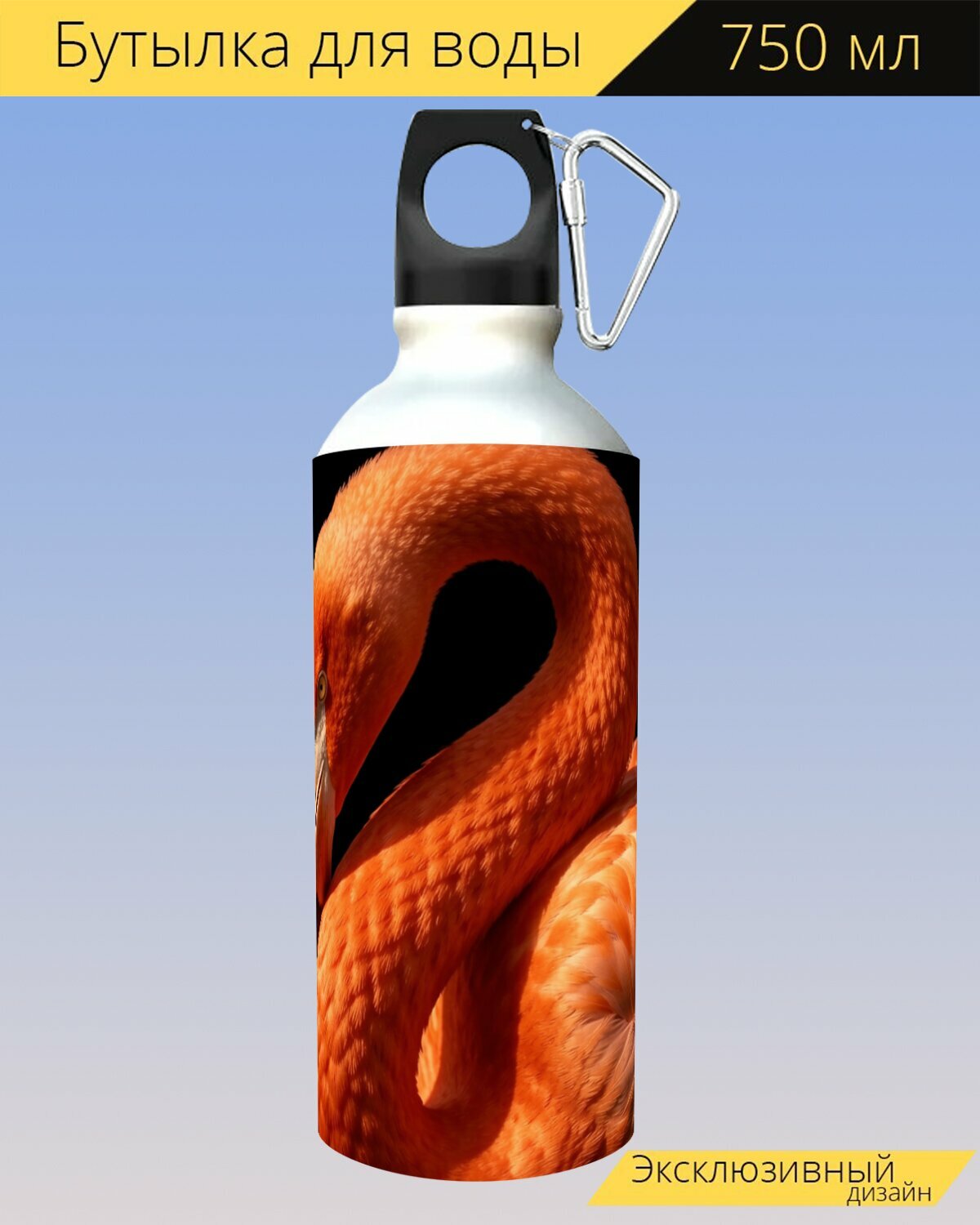 Бутылка фляга для воды "Яркий оранжевый фламинго. Эффектный крупный план экзотической птицы с изогнутой шеей, ярко-оранжевым оперением и чёрным фоном." 750 мл. с карабином и принтом