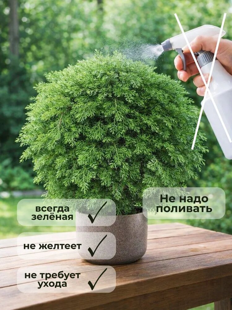 Искусственное декоративное дерево Туя, в горшке, для дома или офиса, пластик, зеленое — фото 1