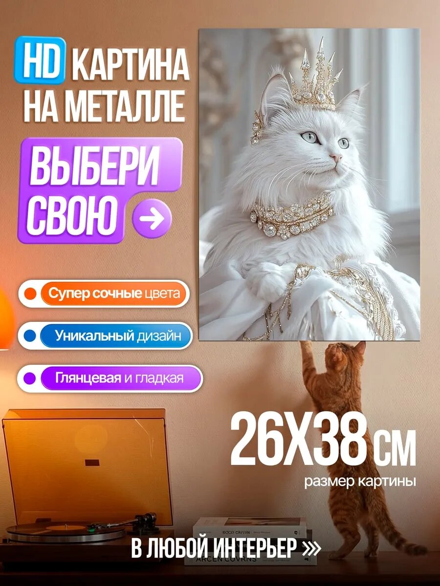 Картина на HD металле Белая кошка королева