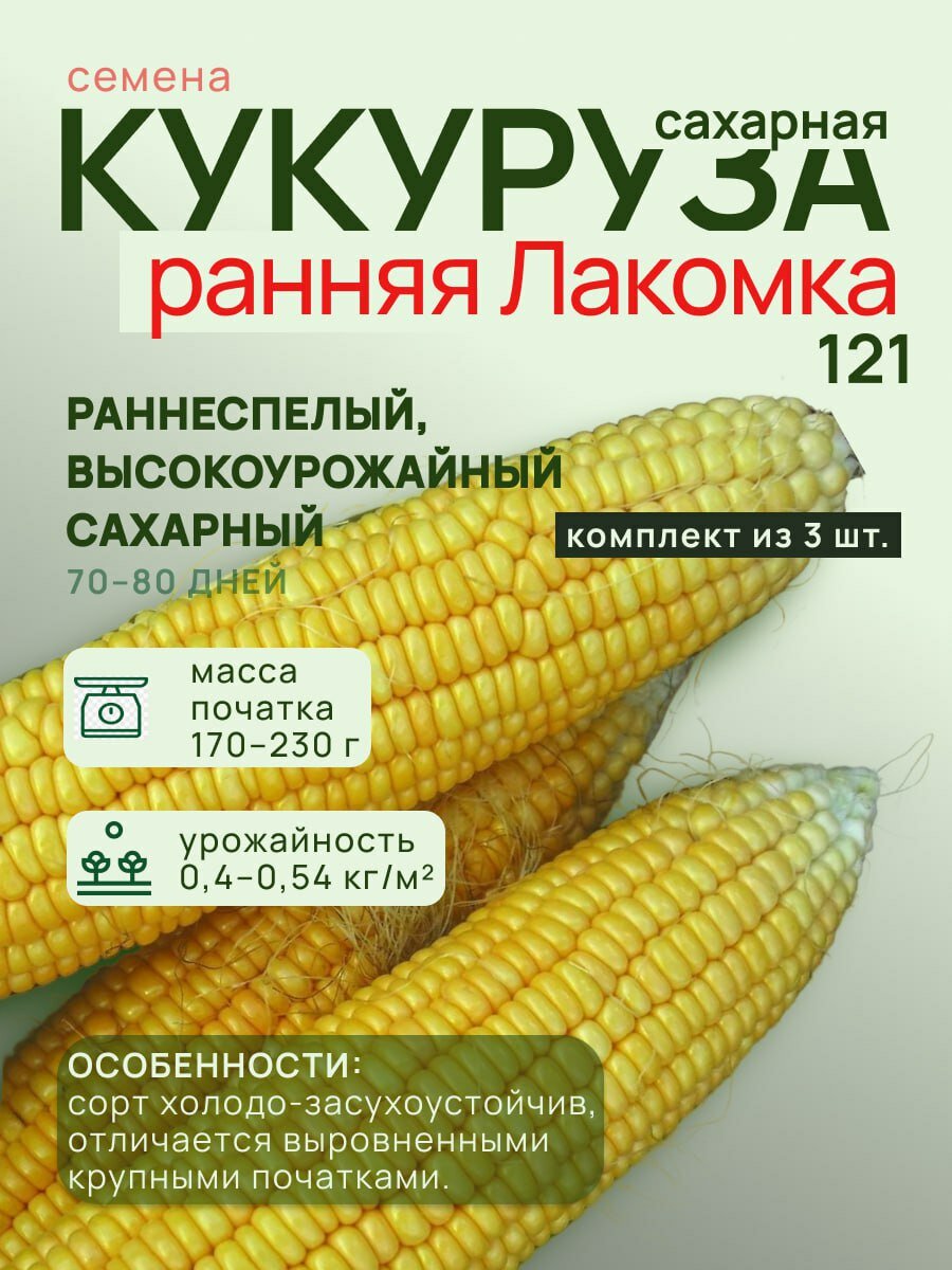Семена кукурузы сахарной сорт "Ранняя лакомка", сладкая, 3 пачки