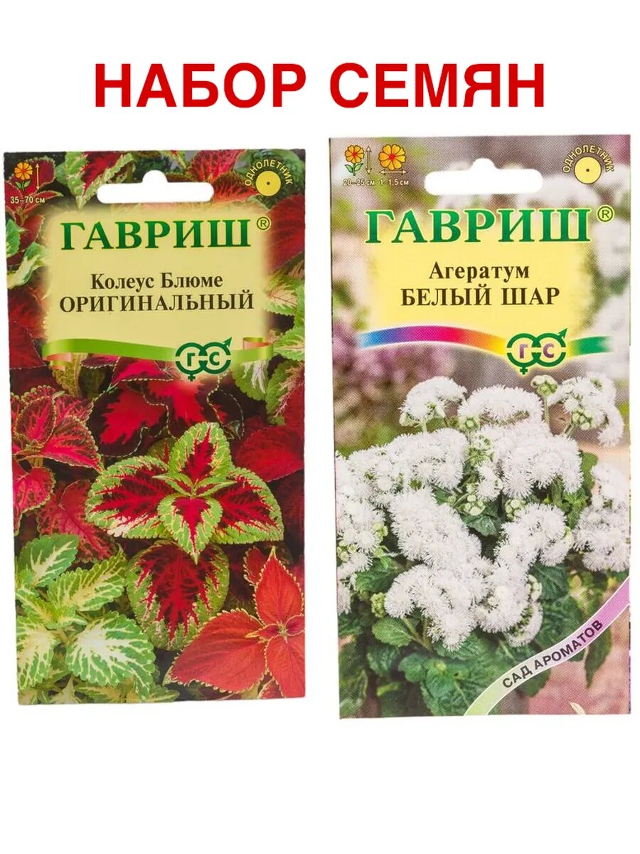 Набор семян Колеус Оригинальный 0.03г и агератум Белый шар 0.05г