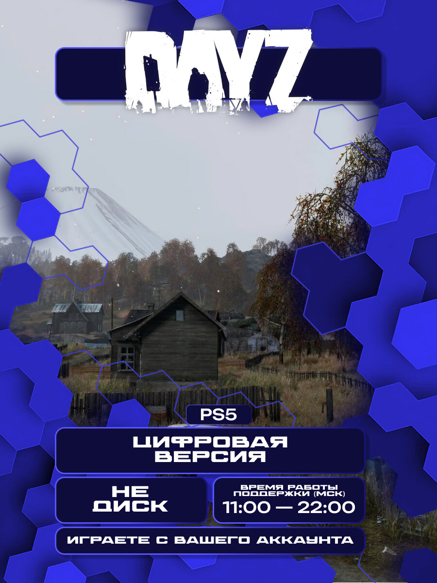 DayZ PS5 / PS5PRO | Удалённая установка на приставку