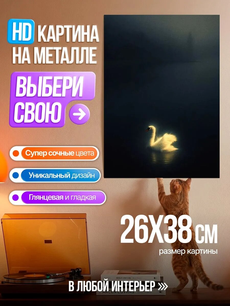 Картина на HD металле Светящийся лебедь
