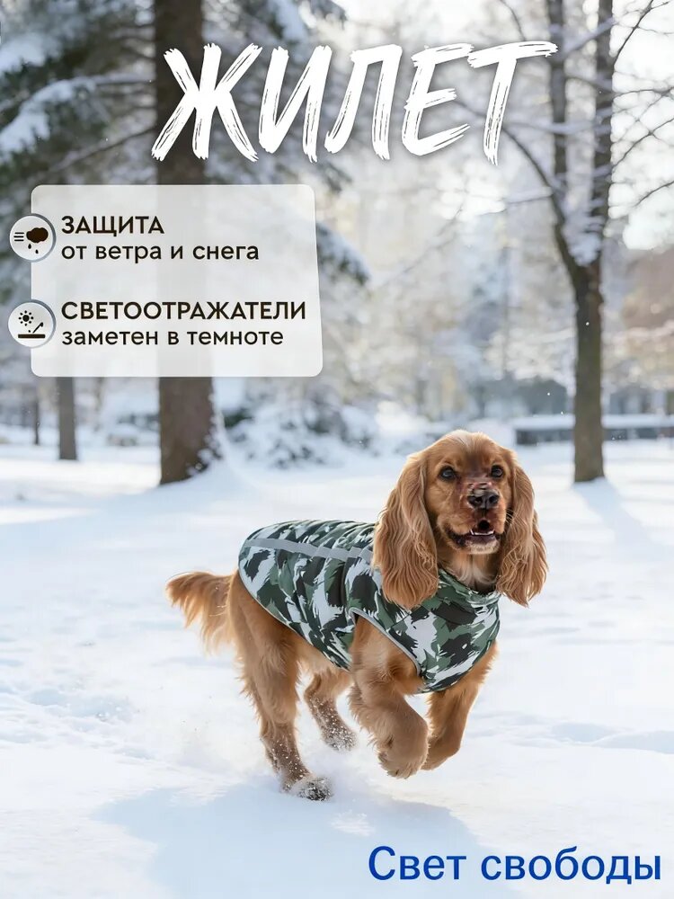 Одежда для собак
