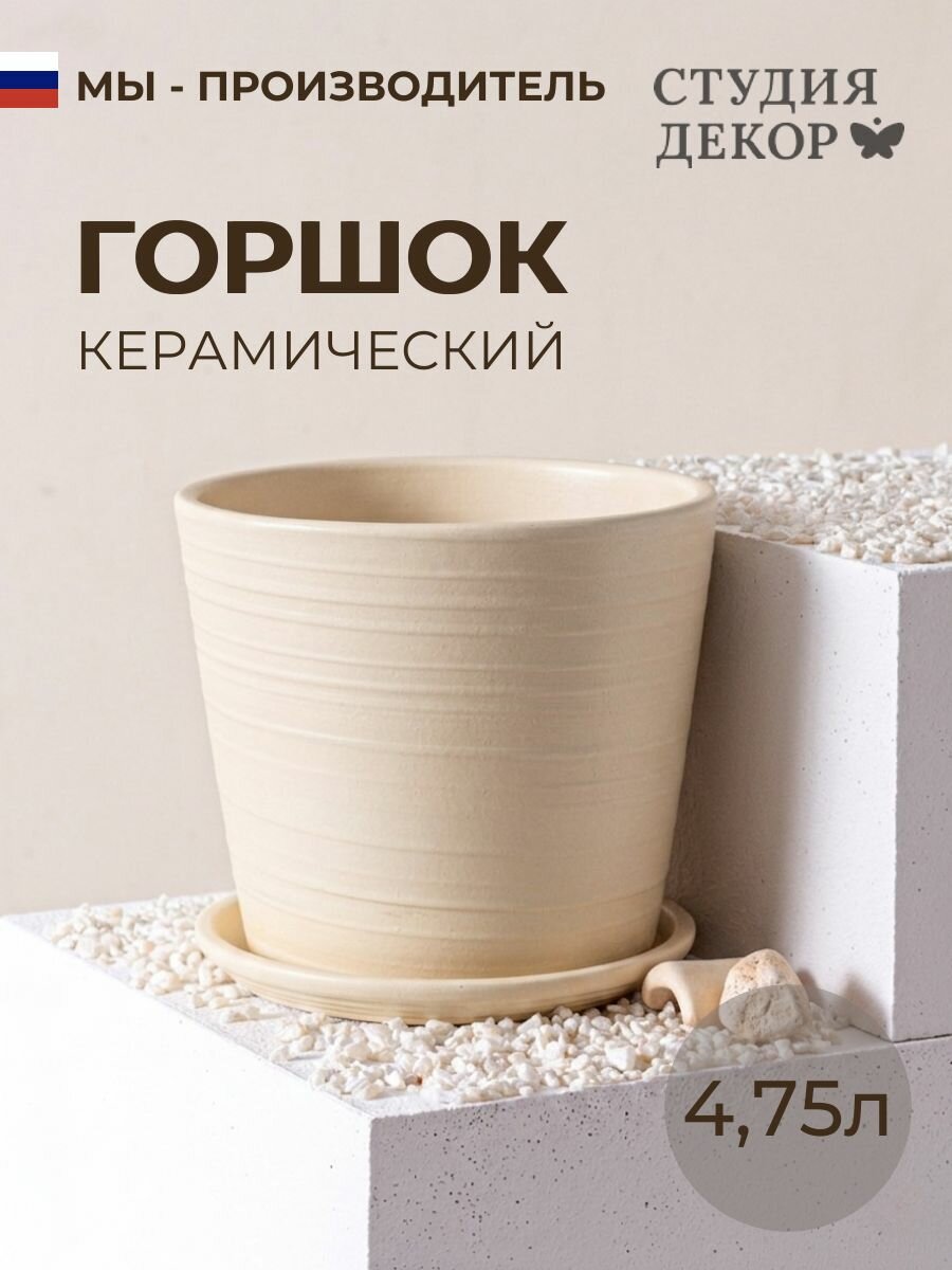 Керамический горшок с поддоном Низкий конус эниф (бежевый), диаметр 22см, объем 4,75л