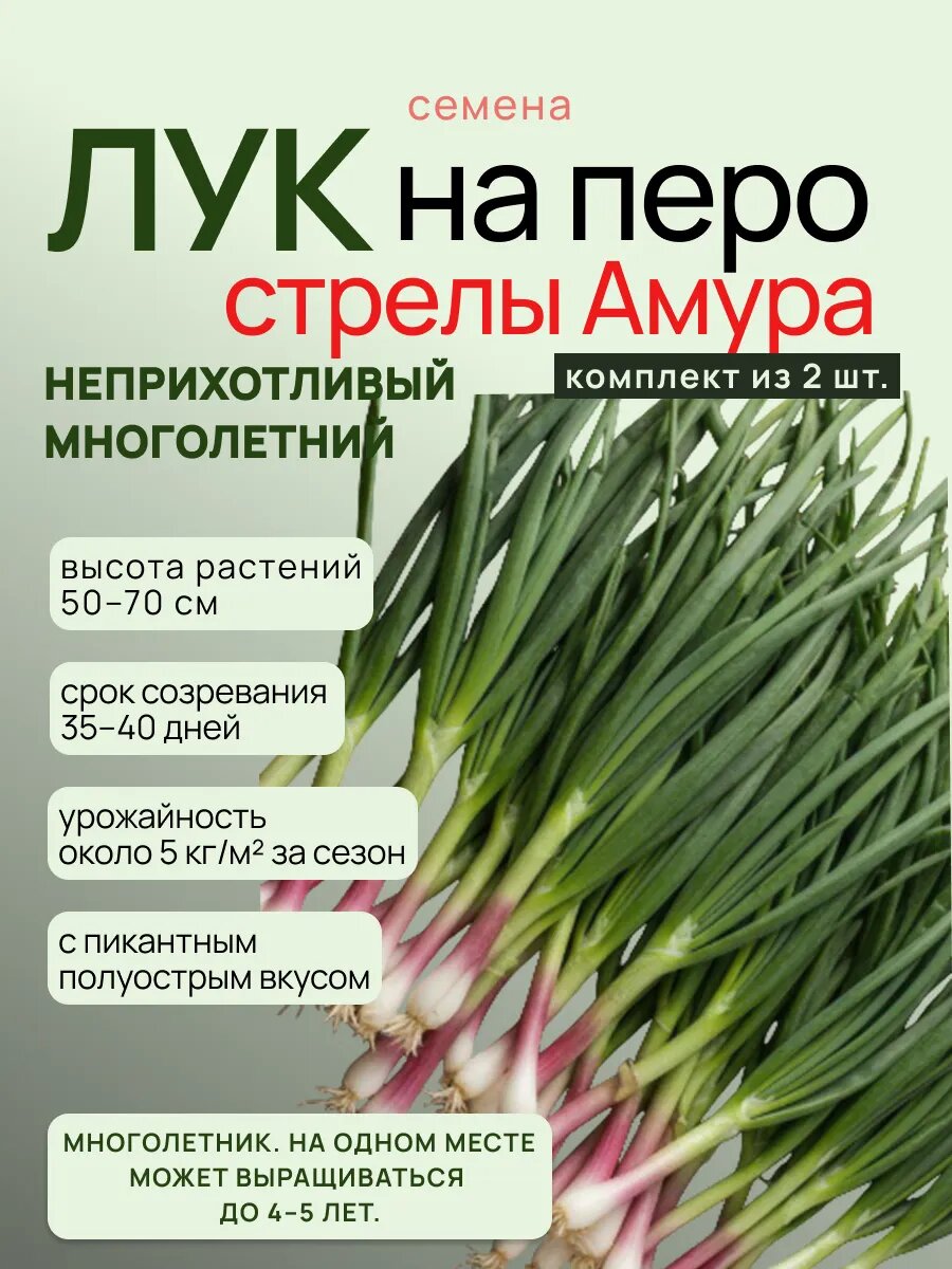 Семена лука на перо Аэлита "Стрелы Амура", многолетние, неприхотливые, 2 упаковки