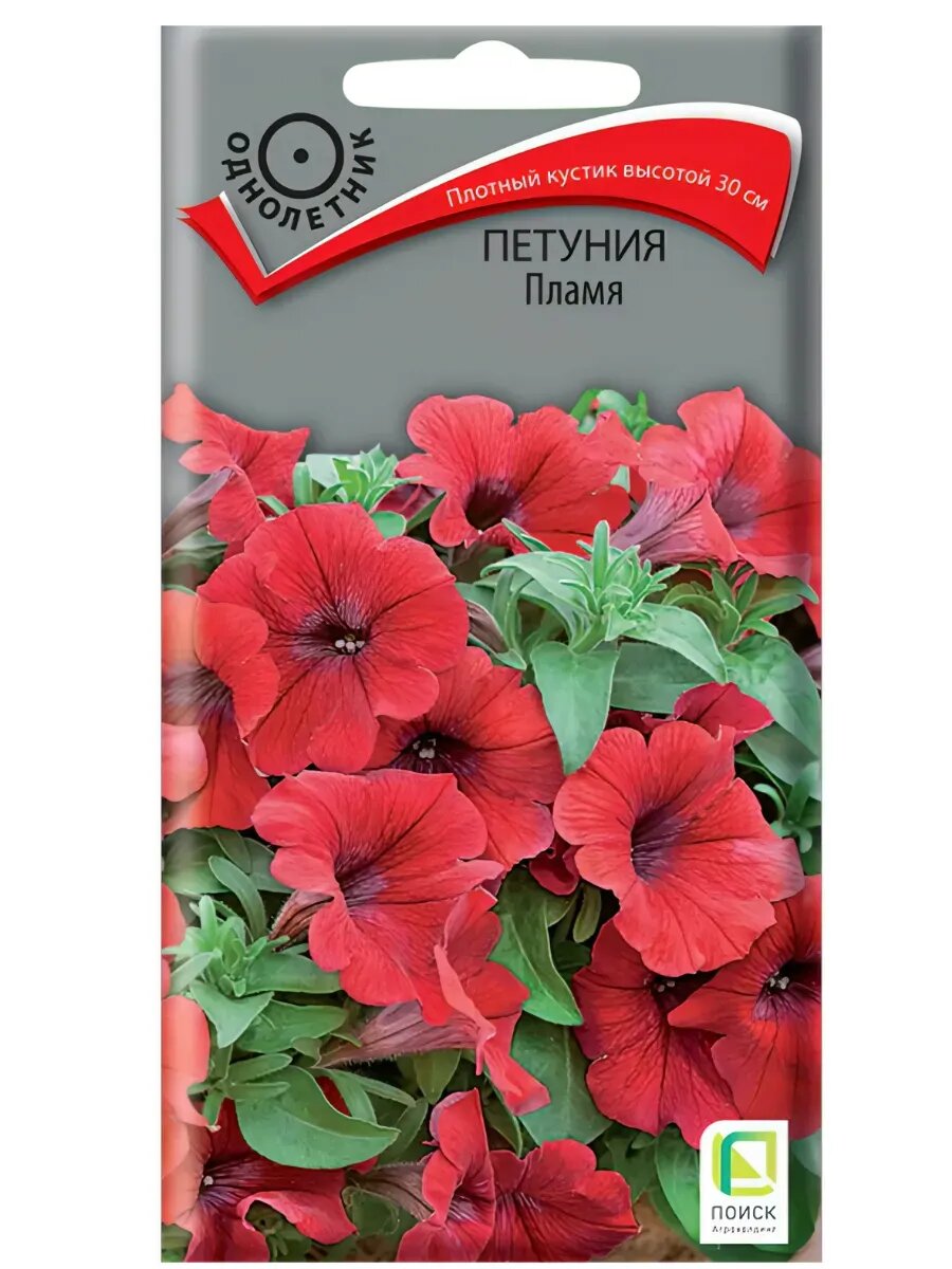 Семена цветов петуния Пламя