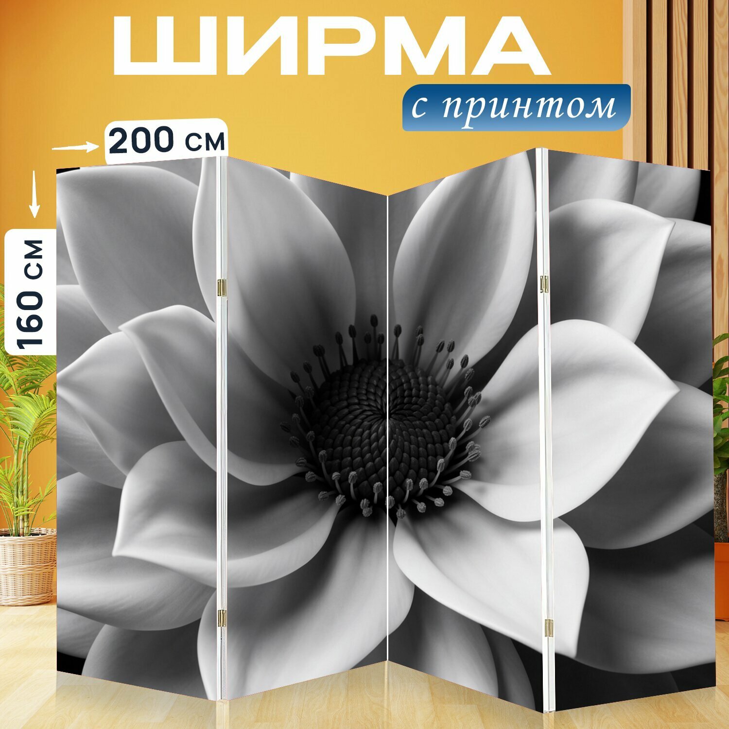 Ширма "Белый цветок крупным планом. Монохромная макро-иллюстрация с нежными лепестками и тёмной серединой." перегородка для зонирования комнаты с принтом 200x160 см. на холсте